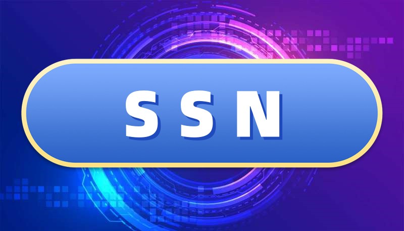 验证的SSN-帮司令