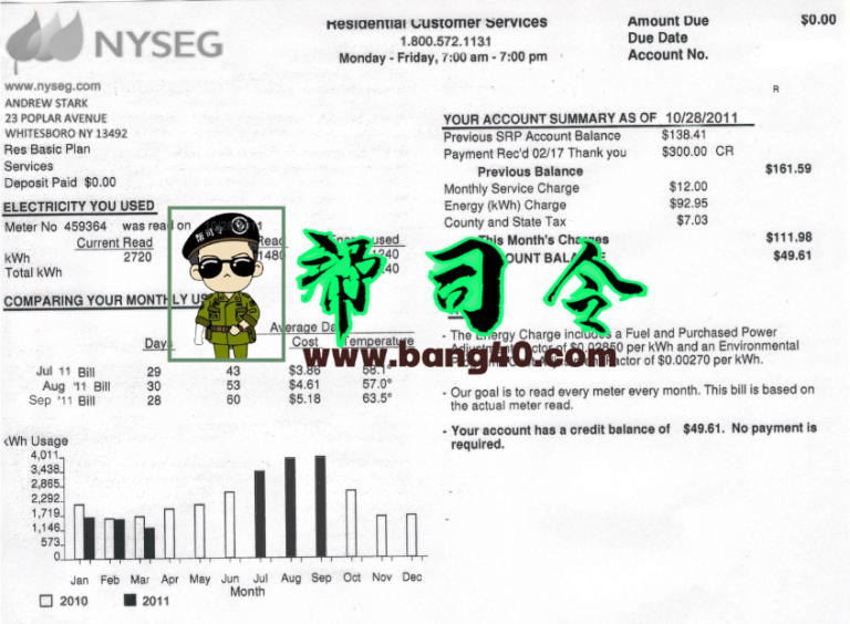 纽约公用事业账单 PSD 模板 – NYSEG