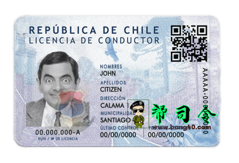 智利驾驶执照 PSD 模板