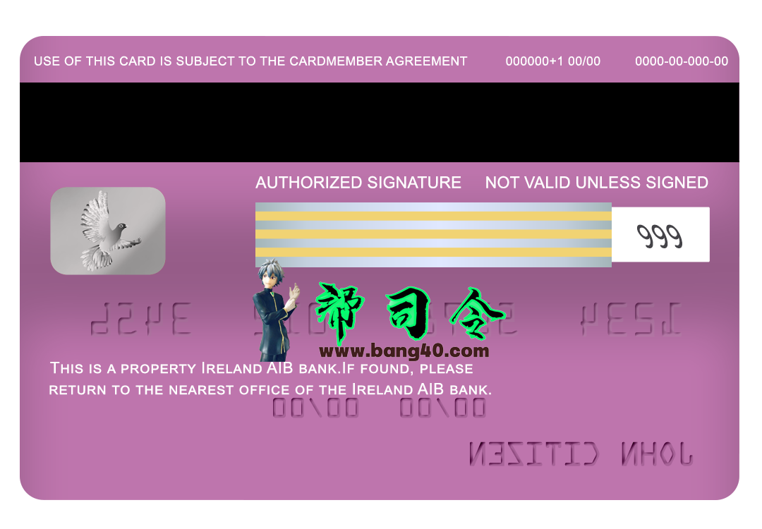 爱尔兰 AIB 银行 Visa 经典卡 PSD 模板